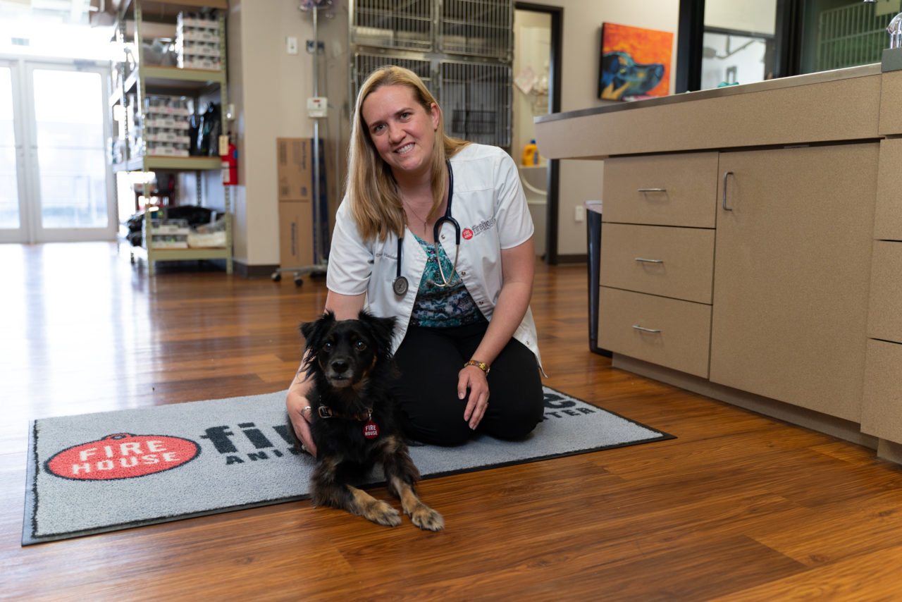 Firehouse Animal Health Center Kyle